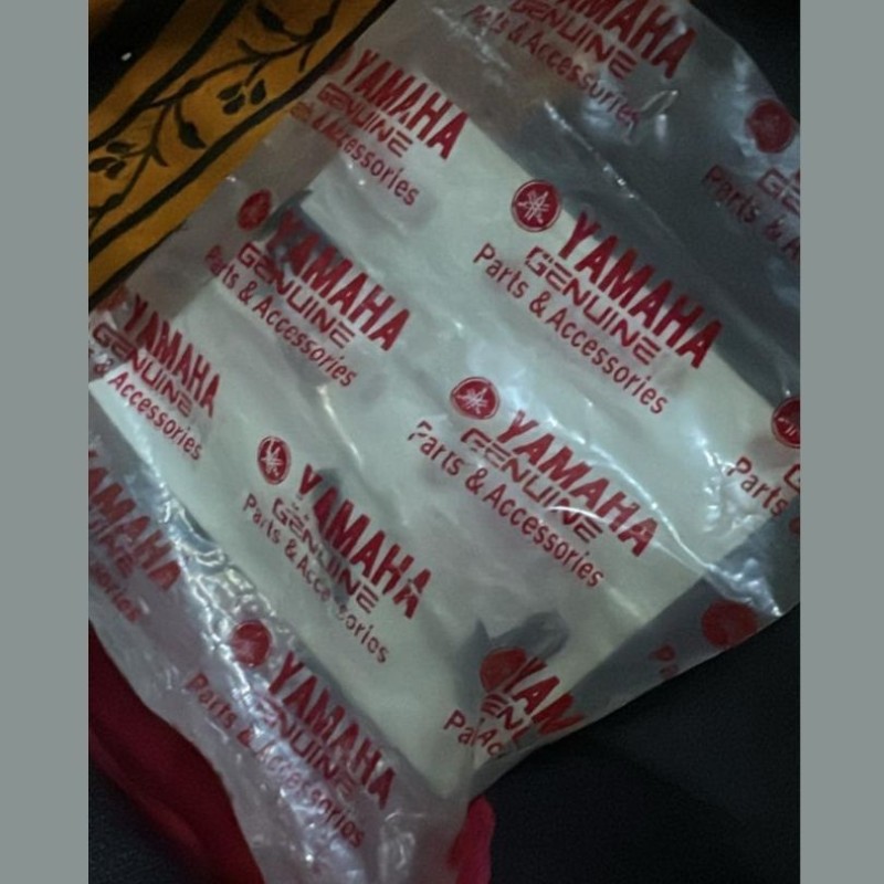 Push Clip R15M / V4 Indian (10pcs) - RIVET 90269-06813